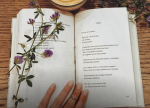 Central Nervous System Vasculitis - Vasculitis Foundation