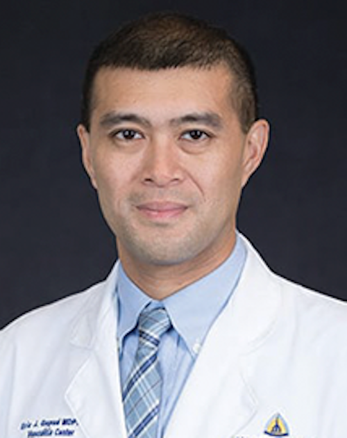 Eric Gapud, MD, PhD - Vasculitis Foundation